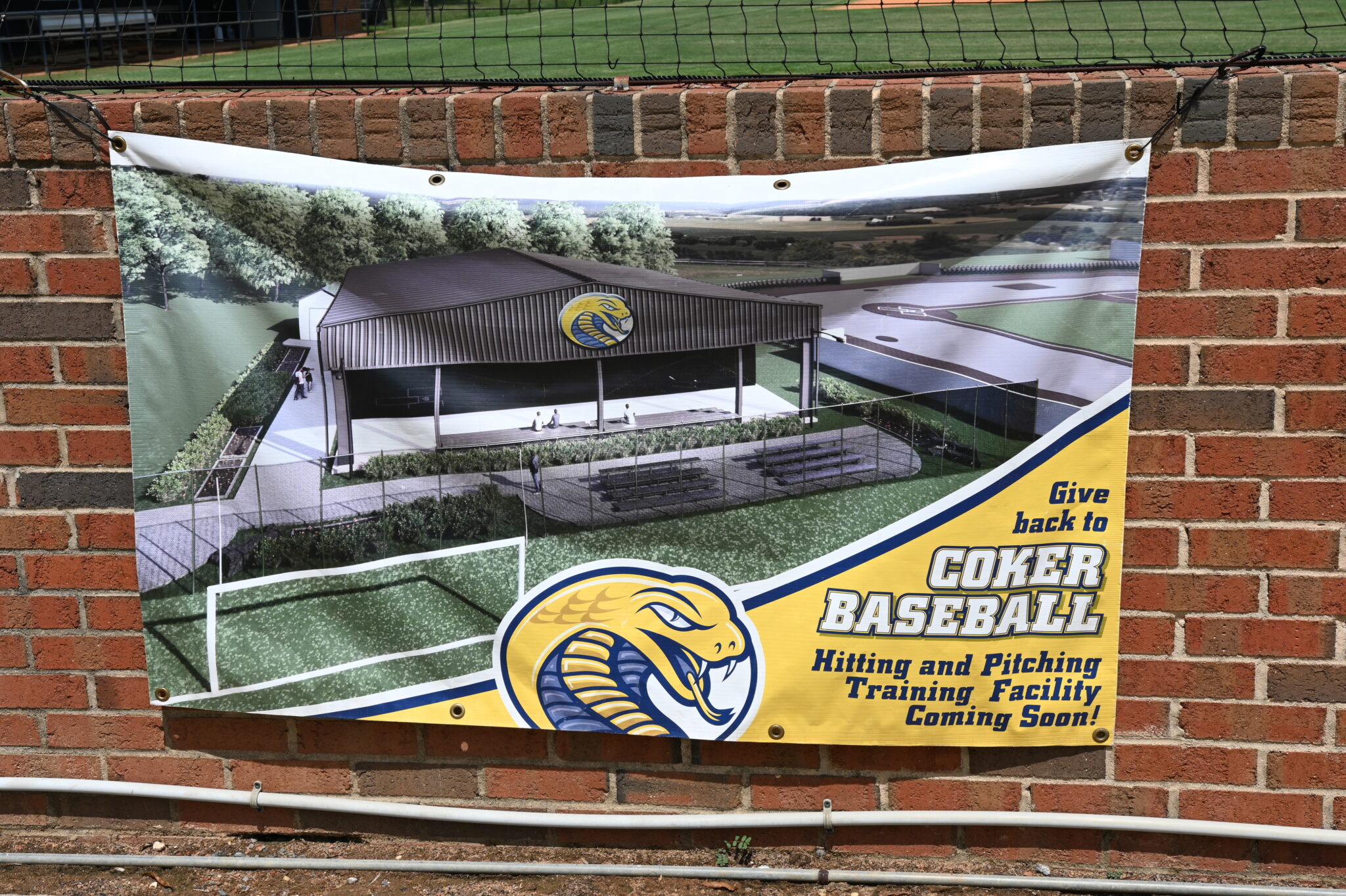 Support Coker Baseball! - Coker University